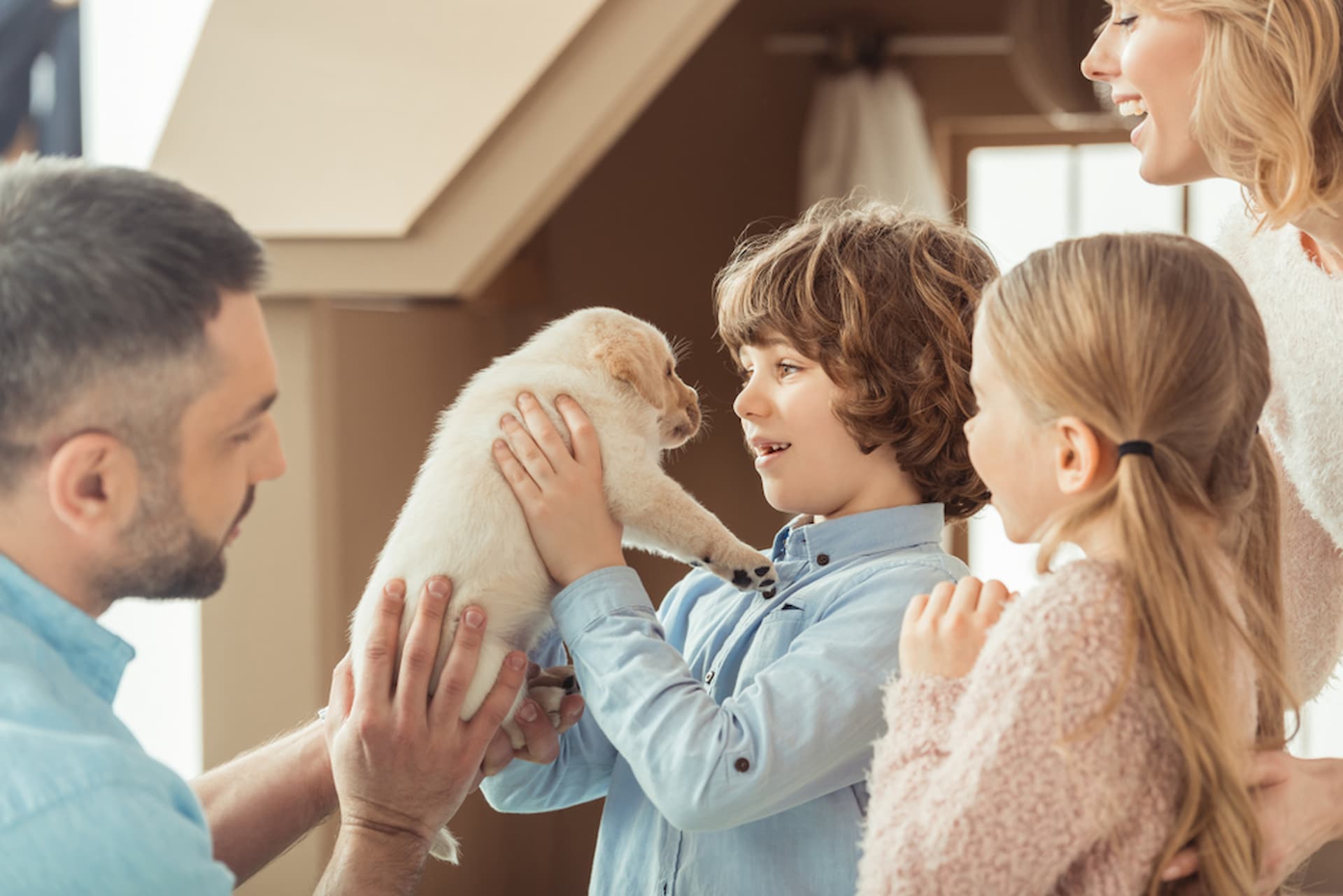 Tips for Choosing the Perfect Dog for Your Family - Lifestyle3